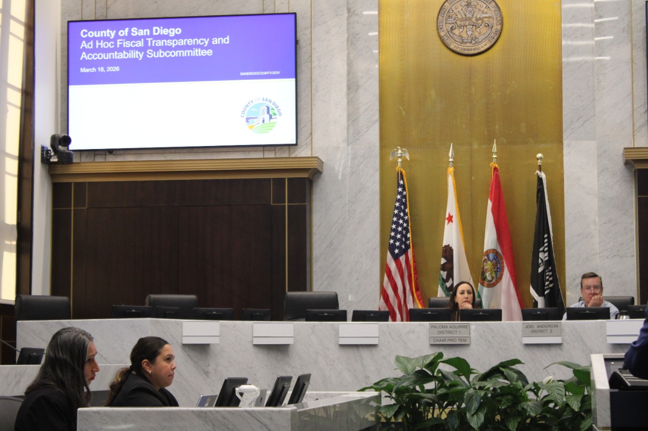 Fiscal Transparency and Accountability Ad-Hoc Subcommittee